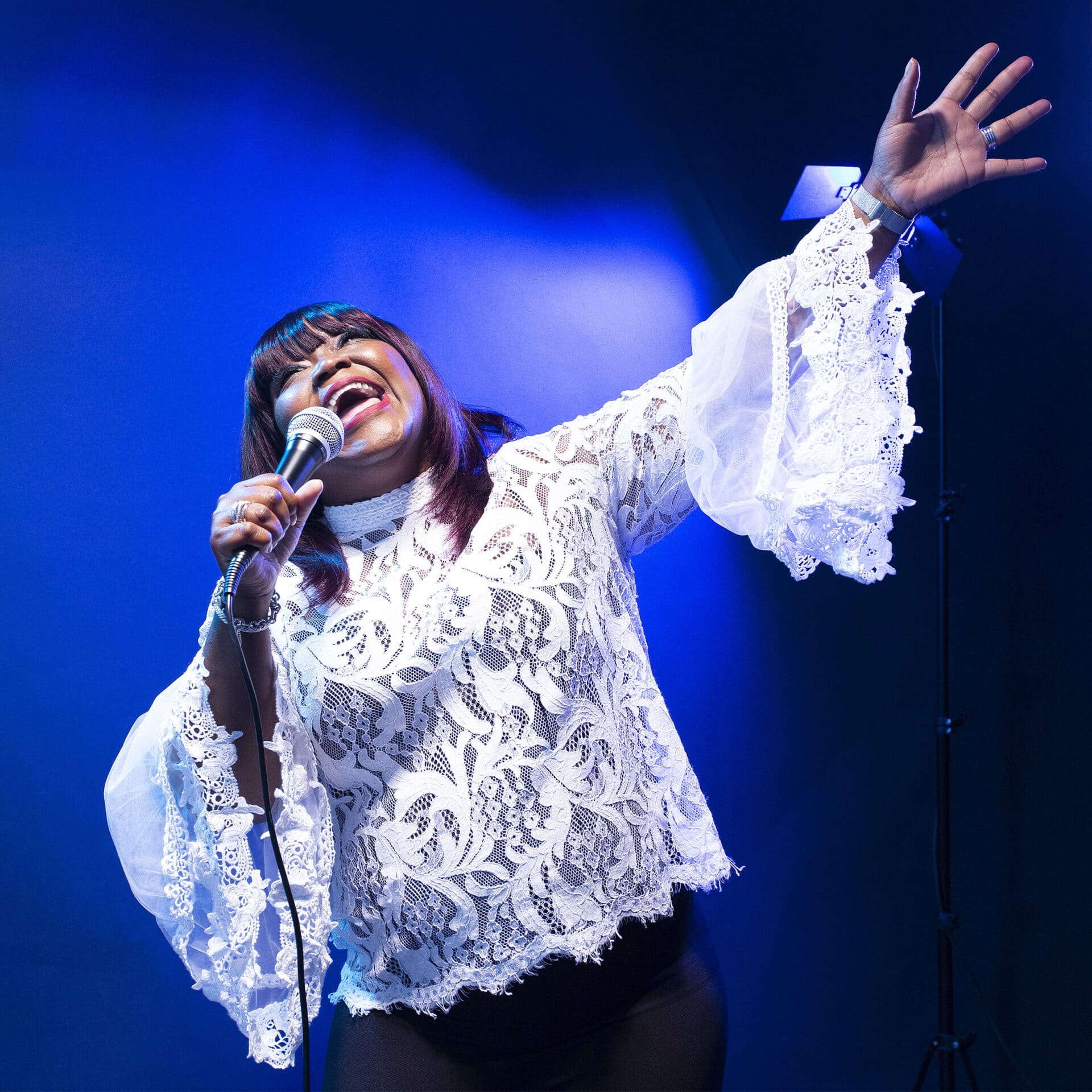 Three Alligator Albums Earn Grammy Award Nominations - Blues Matters ...